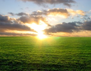 Light of the World | Life Project Blog