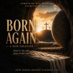 Don’t Forget Born Again a New Creation | Life Project Blog